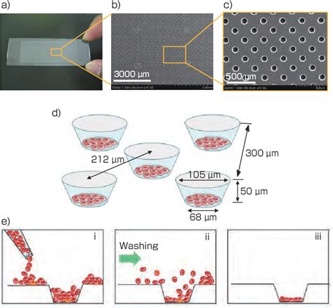 Table 1 From Development Of A Cell Microarray Chip System For Early And