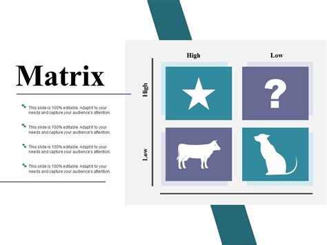 Matrix Ppt PowerPoint Presentation Ideas Portrait