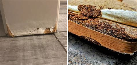 How To Fix Crumbling Particle Board Easy Steps
