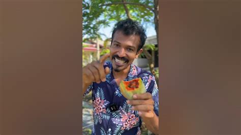 ඇට පිටින් නෙමෙයිද ගස්ලබු කන්නෙ Youtube