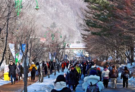 국내 대표 겨울축제 태백산눈축제 ‘사람 반 눈 반