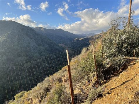 Murphy Ranch W Dana Milstein {writing} — Peaks And Professors