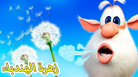 بوبا 😀 زهرة الهندباء 😁 رسوم متحركة مضحكة Youtube