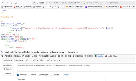 Polarctf Web 简单rce Polarctf 简单rce Csdn博客