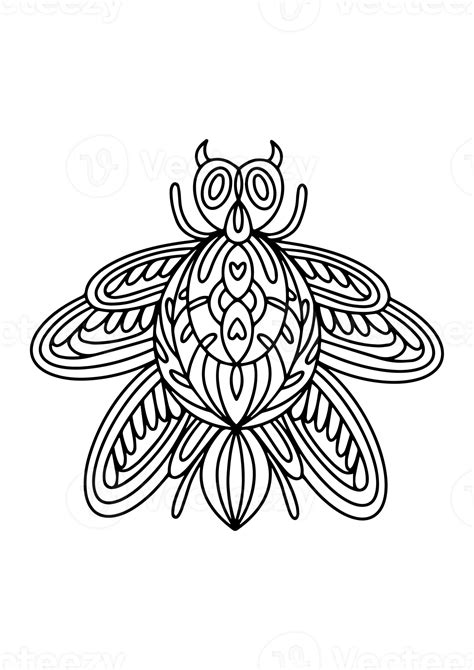 Bug Linear Illustration Png PNG