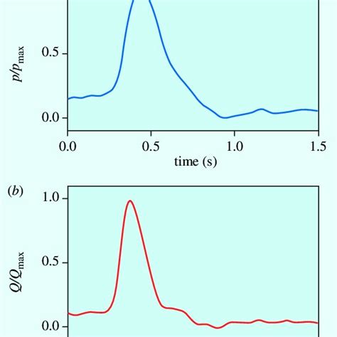 compression pulse wave formation the waveforms of pressure a and
