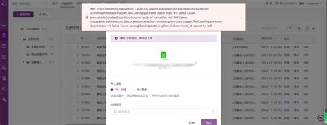 Bug 功能用例导入 Excel 报错 · Issue 26173 · Meterspheremetersphere · Github