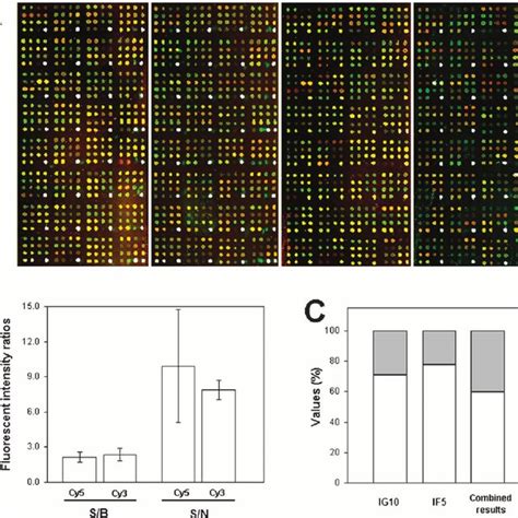 Antibody Microarray Image Quality And Data Consistency A Overlapped