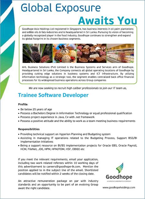 Trainee Software Developer