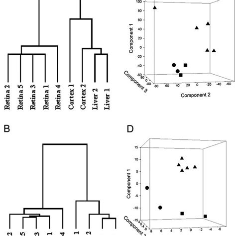 Hierarchical Clustering A B And Pca C D Of The Individual Retina Download Scientific