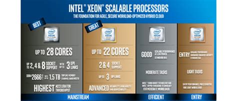 Intel Xeon Scalable Processors With Skylake Sp Cores Launched Cpu News Hexus Net