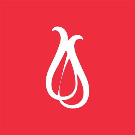 Senco Stock Price And Chart — Nsesenco — Tradingview