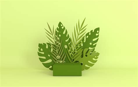 열대 종이 손바닥 몬스타 잎 프레임 제품 프리젠 테이션을위한 연단 플랫폼 여름 열대 잎입니다 종이 접기 이국적인 하와이 정글