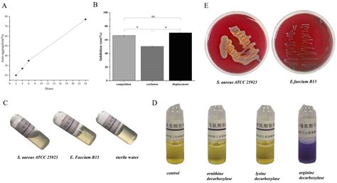 Assessment Of The Safety And Probiotic Properties Of Enterococcus
