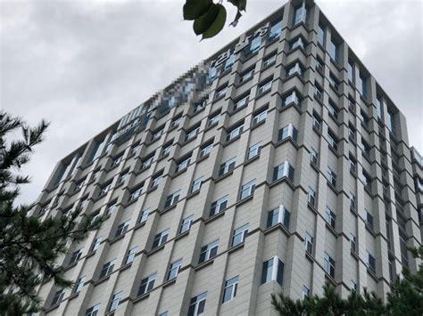 수직사다리제작 등받이울 제작설치 옥상사다리 튼튼하게 네이버 블로그