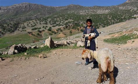 خبرآنلاین تصاویر حال و هوای زندگی در عشایر بختیاری