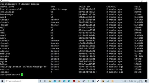 Day 2 Docker Images Lifecycle Storage Youtube