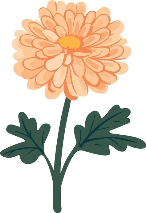 Sweet Cute Simple Chrysanthemum Clipart 52238608 Vector Art At Vecteezy
