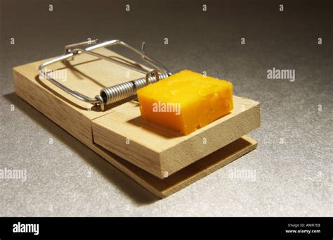 Mouse Trap Cheese Commercial