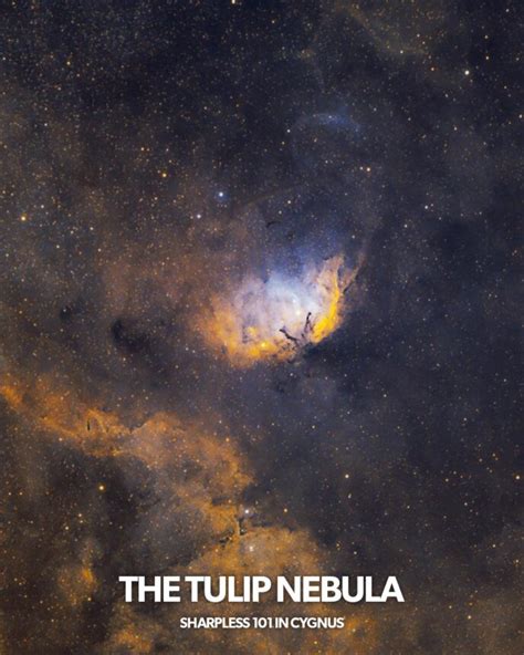 The Tulip Nebula In Cygnus Dont Miss This Beautiful Emission Nebula
