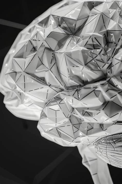 3d Brain Model Stock Illustration Illustration Of Generated 359713705