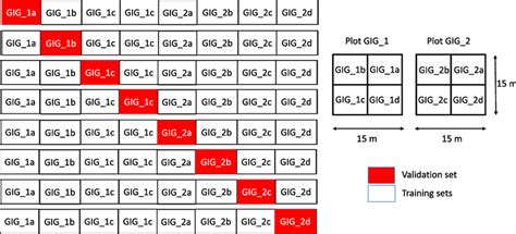Eightfold Spatial Cross Validation Approach For Gigante Site