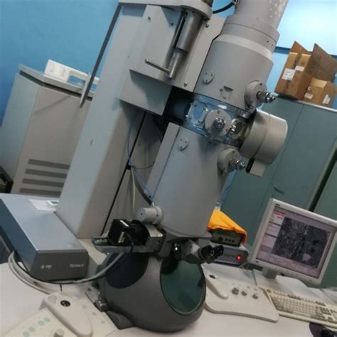 How Does An Electron Microscope Work A Comprehensive Guide