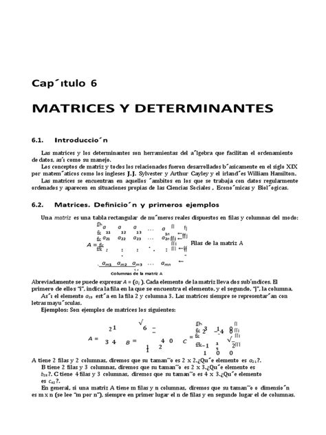 Investigacion De Matrices Y Det Pdf Matriz Matemáticas Física