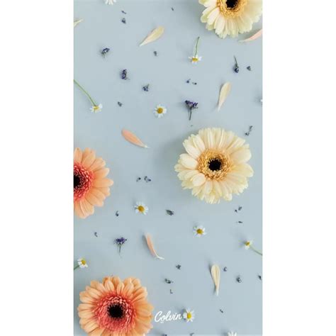 วอลเปเปอร์ มาแจกฟรี 🍋😍 แกลเลอรีที่โพสต์โดย Mayawee Lemon8