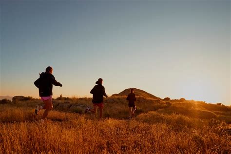 Die besten Traillaufschuhe von Nike. Nike DE