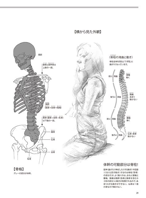 人物を描く基本 使える美術解剖図 ホビージャパンの技法書