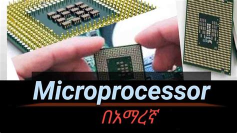 Introduction To Microprocessor በአማረኛ Youtube