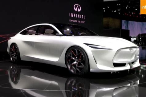 Los 5 Datos Científicos Menos Conocidos Sobre Los Perros Infobae