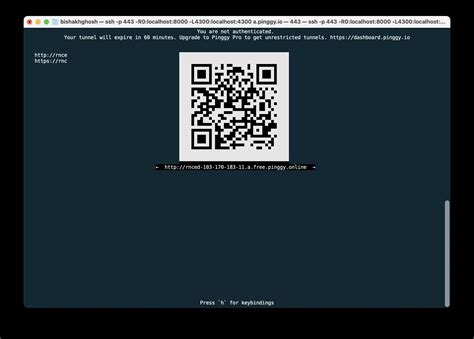 display qr code in terminal