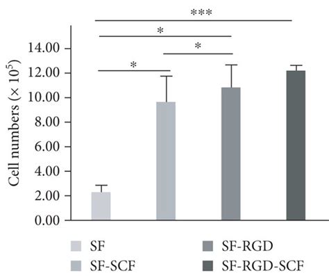 Cell Numbers After 1 And 7 D Cell Seeding A 1 D B 7 D Data Are