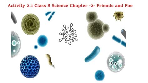 Activity Class Science Friends And Foe REMEDIAL CLASSES