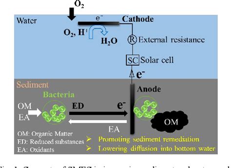 Figure 1 From Solar Cell Combined Sediment Microbial Fuel Cell For Preserving Sediment And Water