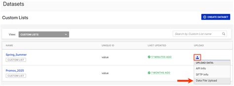 Update A Custom List Dataset Monetate Kb