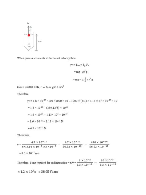 Protein Sedimentation Velocity Calculation Pdf