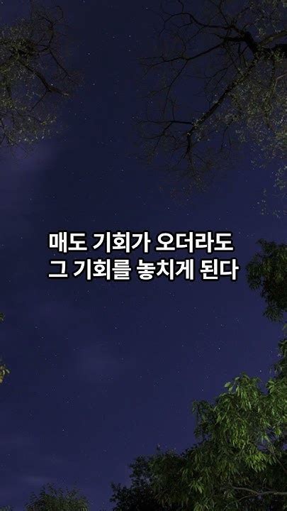 《주식》성공적인 투자전략 매도와 매수의 원리 Youtube