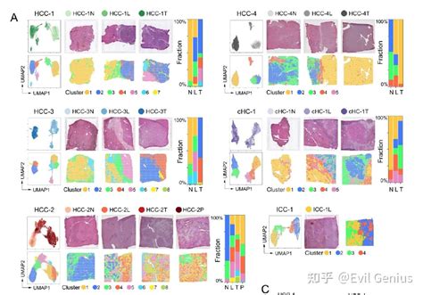 空间转录组基础分析之整合篇 知乎