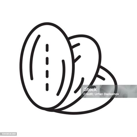 씨앗 아이콘 벡터 기호와 기호 흰색 배경 씨앗 로고 개념 개요 기호 선형 부호 개요 기호 선형 기호에 고립 0명에 대한 스톡 벡터 아트 및 기타 이미지 Istock