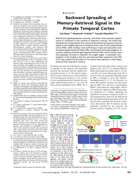 Pdf Backward Spreading Of Memory Retrieval Signal In The Primate