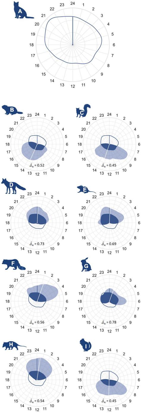 Frontiers Spatial And Temporal Overlap Of Domestic Cats Felis Catus And Native Urban Wildlife