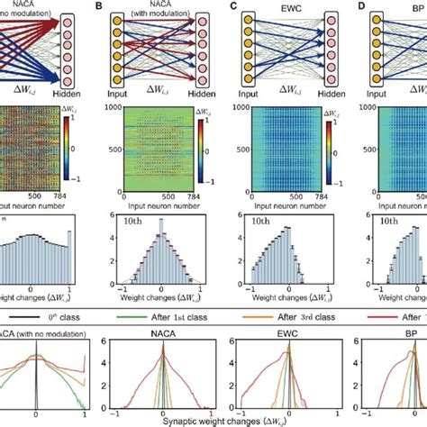 Introducing The Naca Algorithm Into Snns And Anns A Expectations Download Scientific Diagram