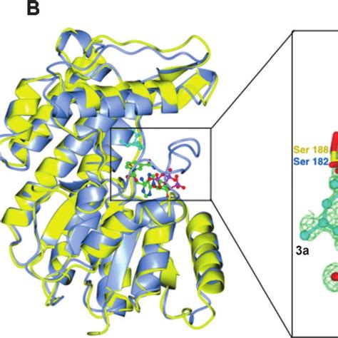 Crystal Structure Analyses Of Ipr And Mnmr A Overlay Of Ipr Blue