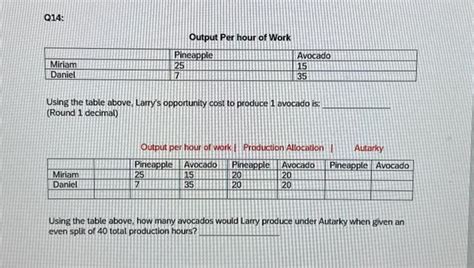 Solved Output Per Hour Of Work Using The Table Above Chegg Com