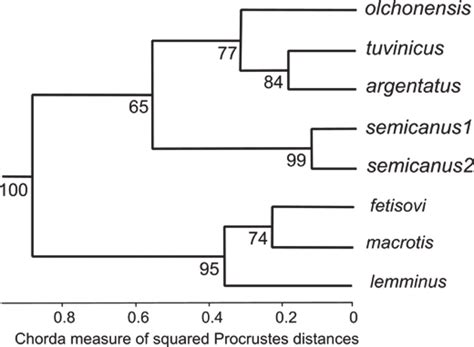 cluster tree upgma based on the matrix of squared procrustes