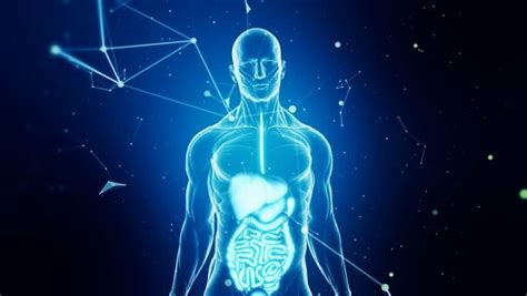 ჰორმონები • Mmt ჰოსპიტალი უროლოგიური და გინეკოლოგიური ჰაბი