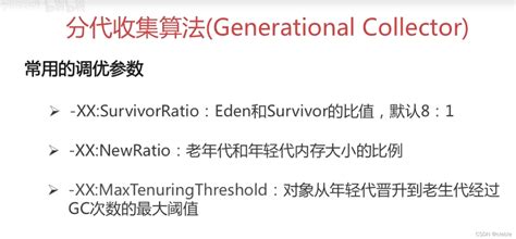（转帖）java gc之分代回收算法 javagc分代回收 csdn博客